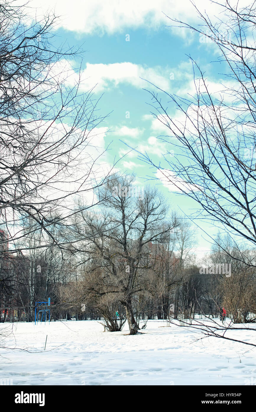 thaw snow lanscape tree Stock Photo - Alamy