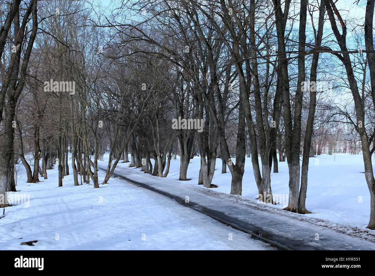 thaw spring lanscape tree Stock Photo - Alamy