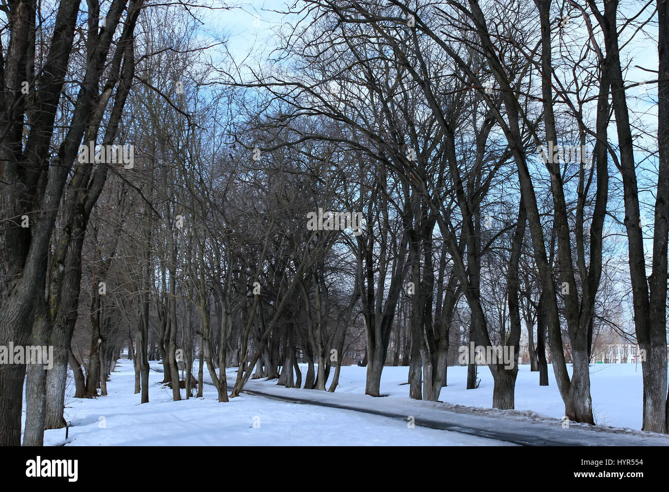 thaw spring lanscape tree Stock Photo - Alamy