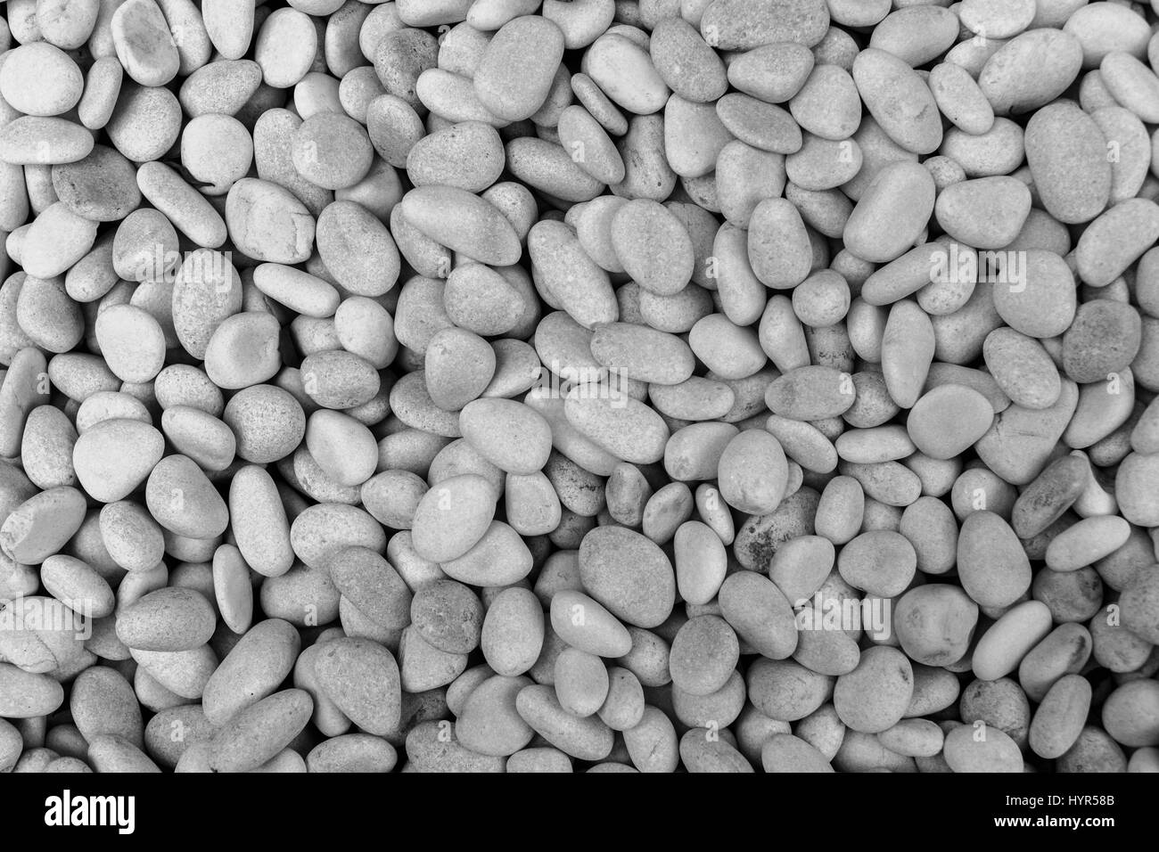 Image of smooth sea stone Stock Photo - Alamy