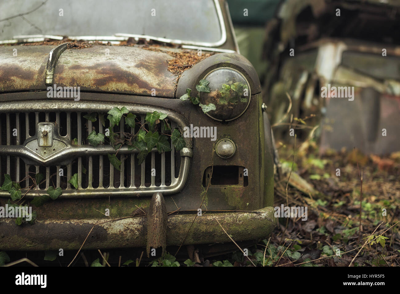 A car left to rot. SPOOKY images of what could be the most spectacular ...