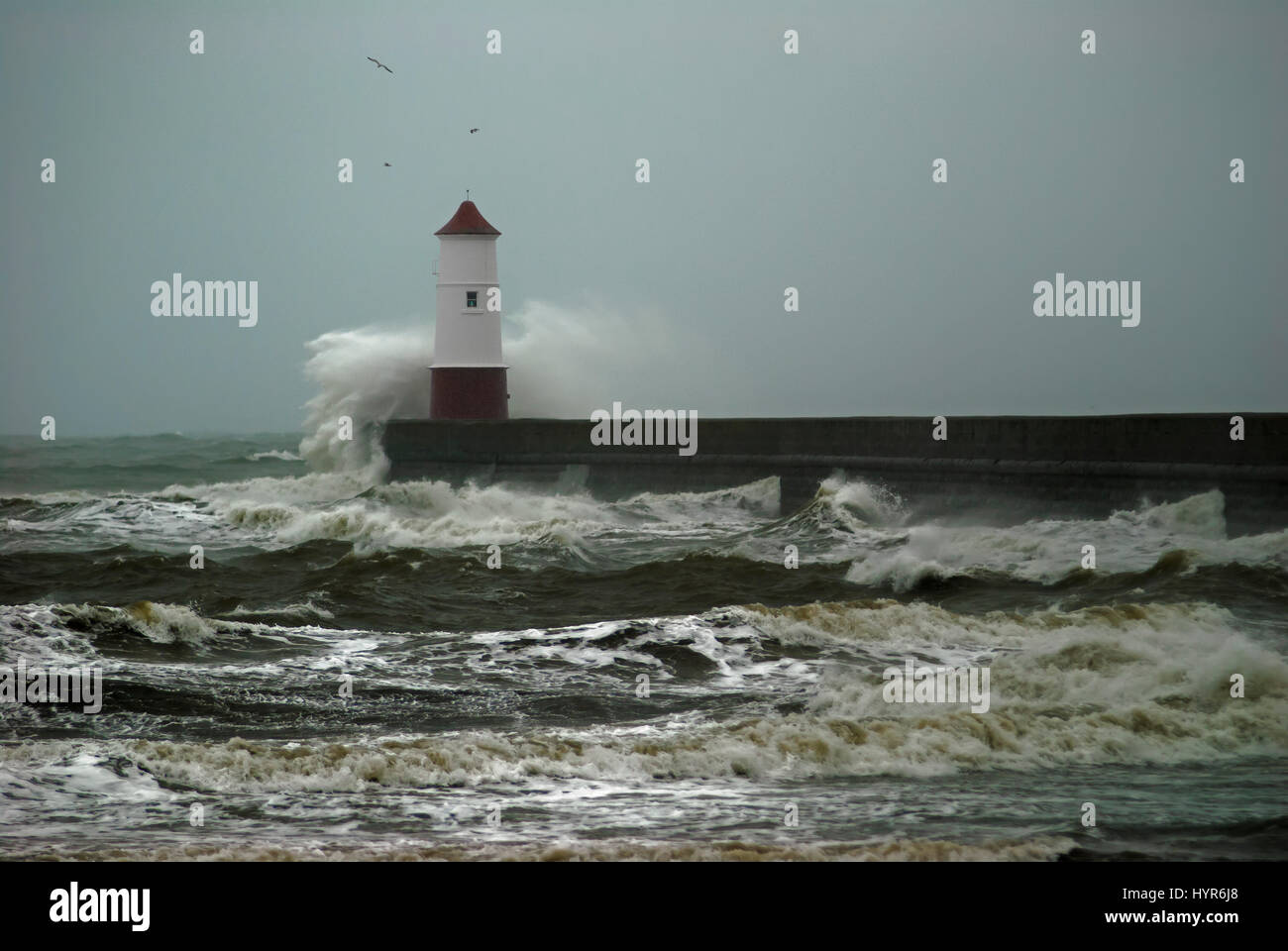 Berwick pier lighthouse hi-res stock photography and images - Alamy