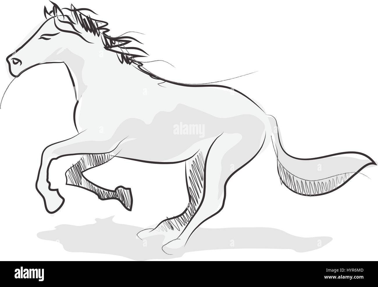 Arabian horse hand drawing Cut Out Stock Images & Pictures - Alamy