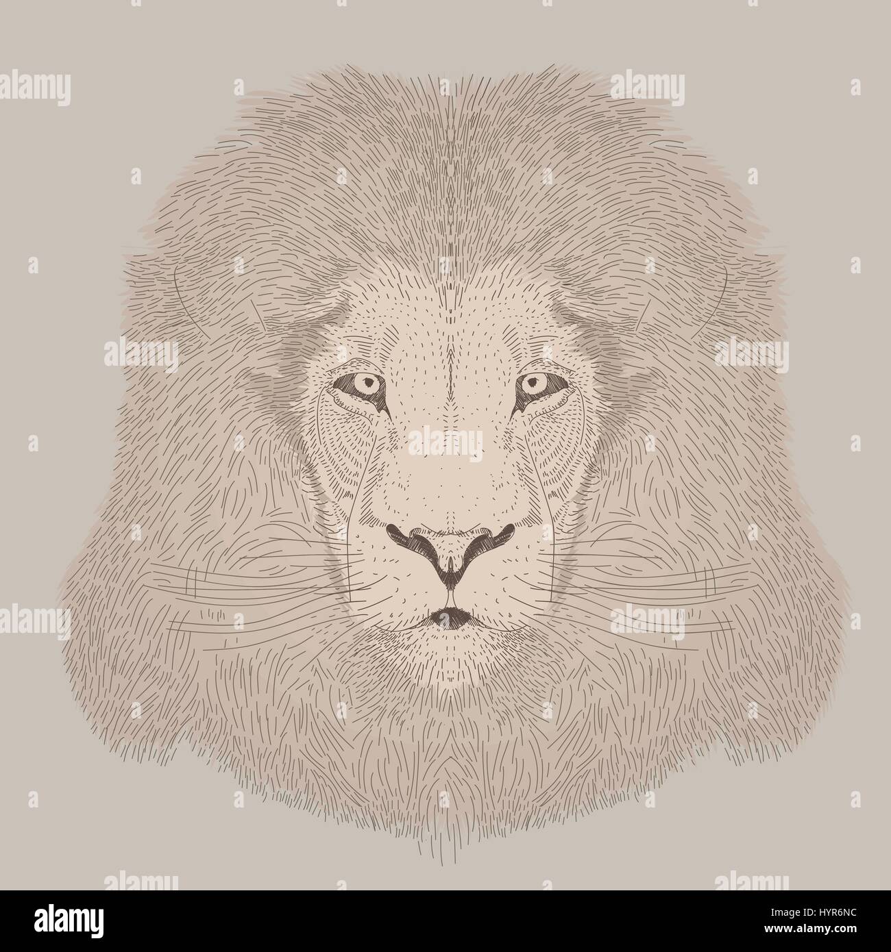 Engraving style vector hand drawing Stock Vector Images - Alamy