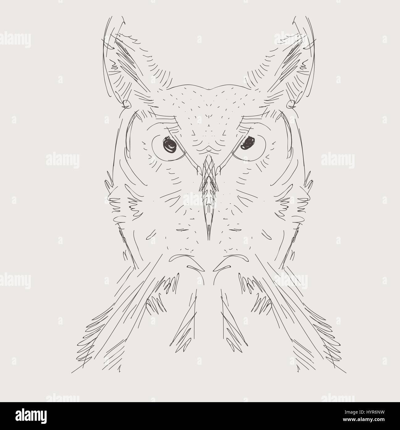 hand drawn vector sketch decorative owl illustration Stock Vector Image ...
