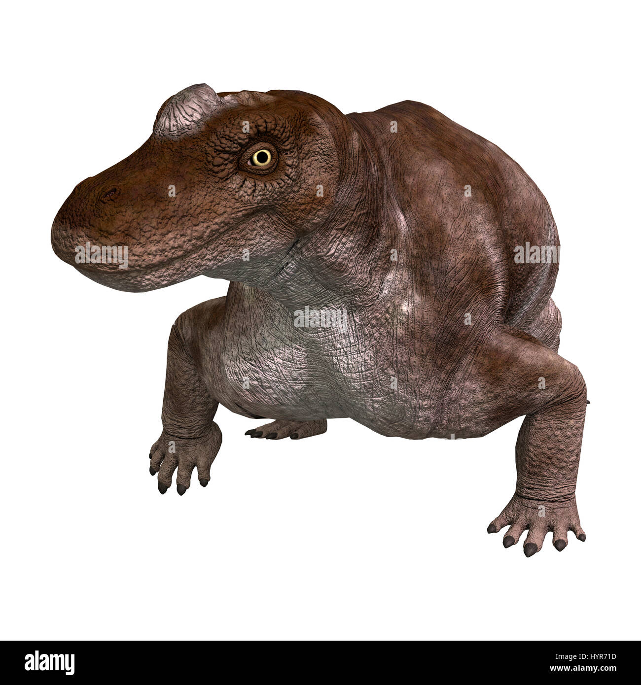3D rendering of a dinosaur keratocephalus isolated on white background ...