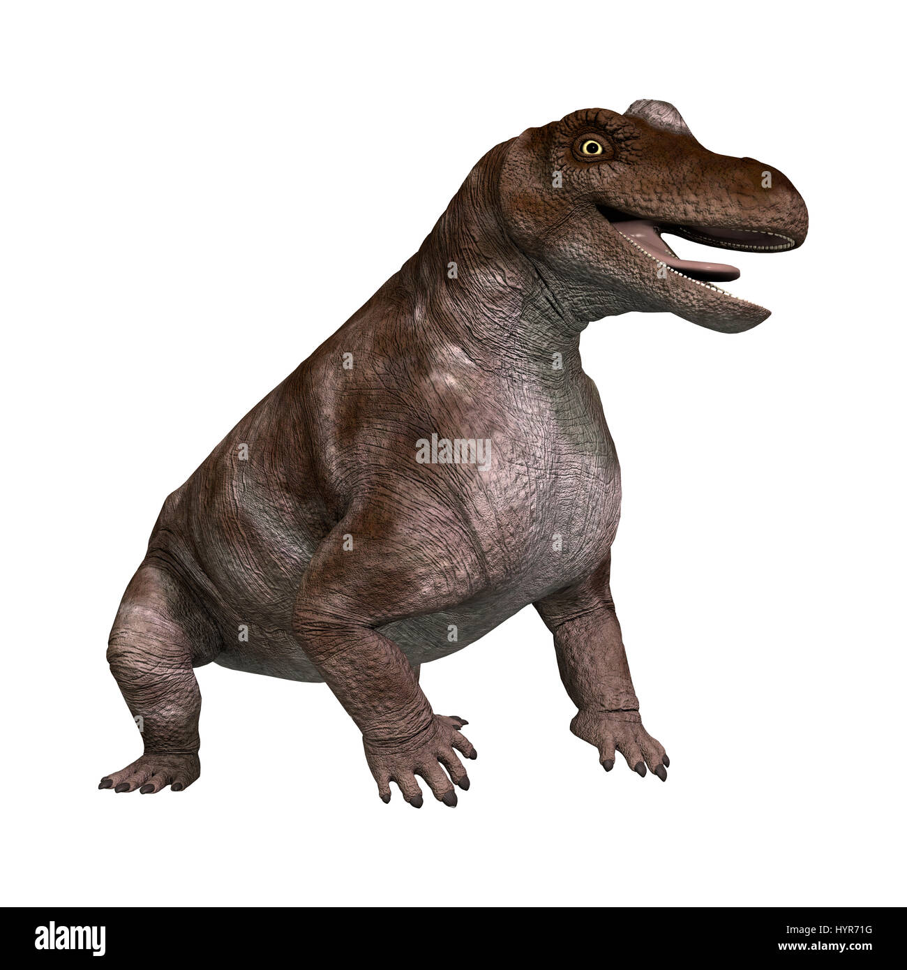 3D rendering of a dinosaur keratocephalus isolated on white background ...