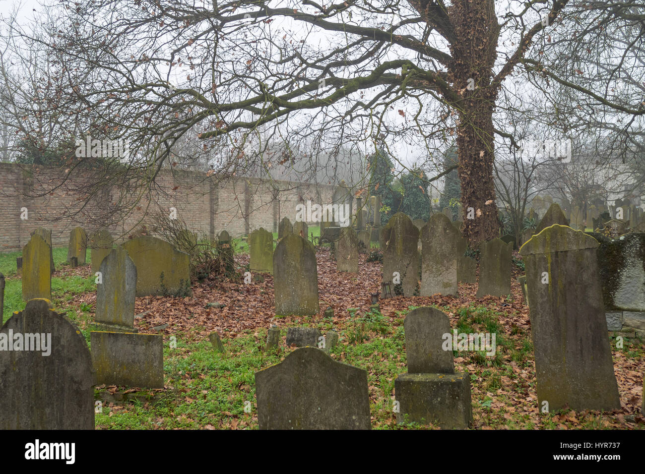 Star of david gravestone hi-res stock photography and images - Alamy