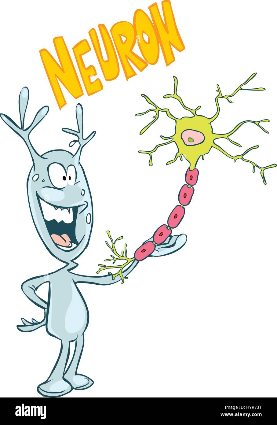 white background vector illustration of a Neuron Stock Vector Image ...