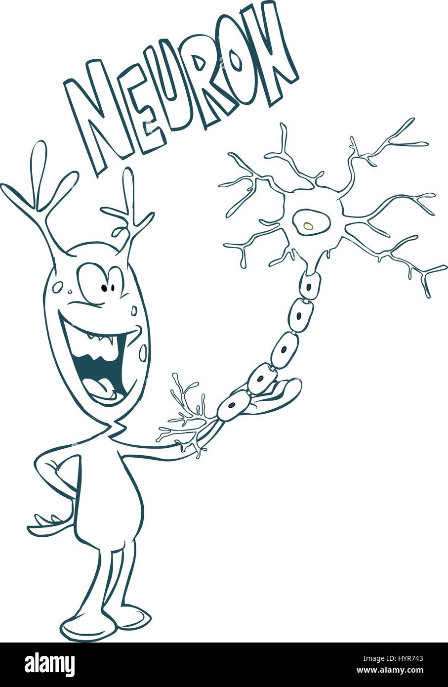 white background vector illustration of a Neuron Stock Vector Image ...