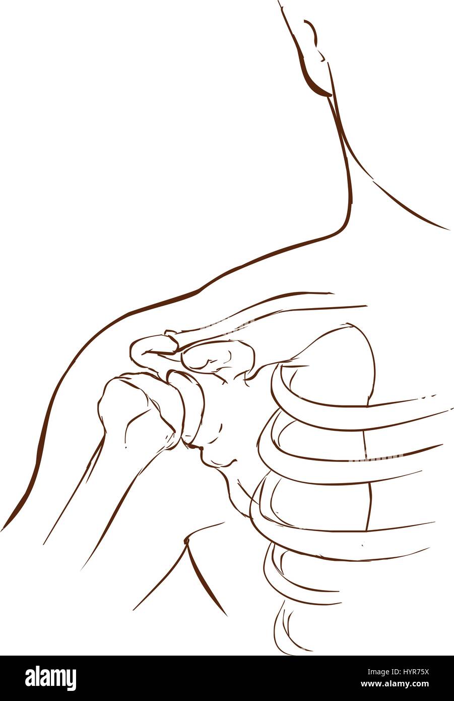 Dislocated shoulder hi-res stock photography and images - Alamy