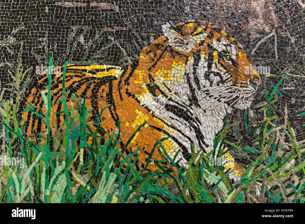 Mosaic tile tiger hi-res stock photography and images - Alamy