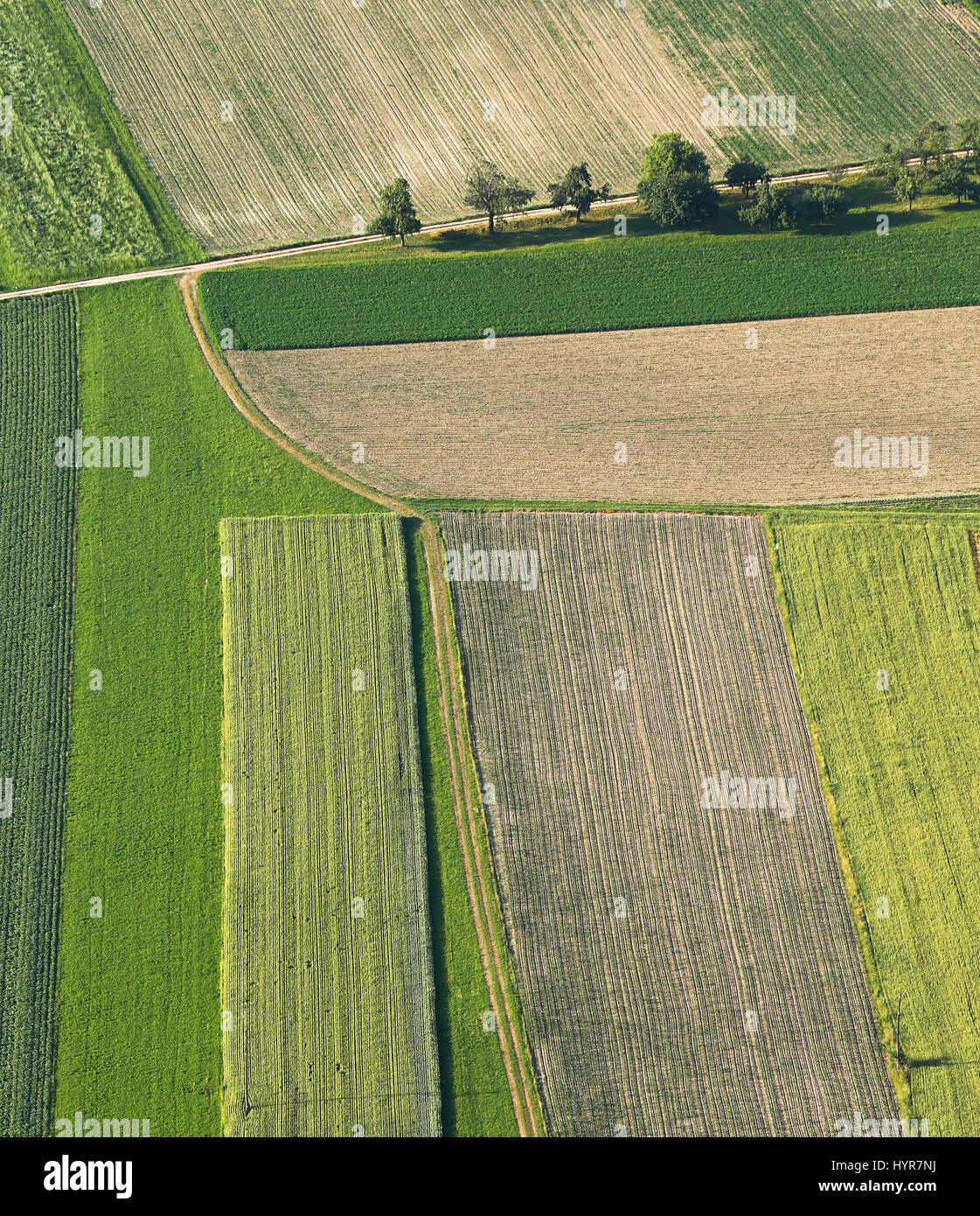 Freshly plowed and sowed farming land from above, neatly cultivated in ...