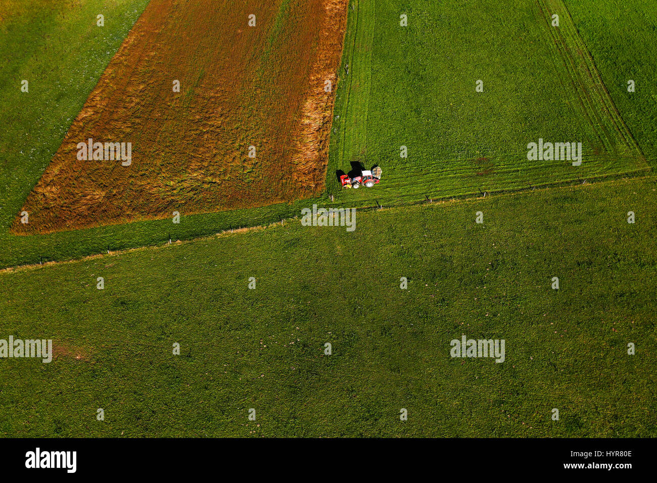 Irrigated pasture hi-res stock photography and images - Alamy