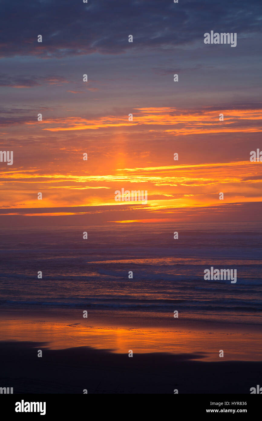 Horsfall hi-res stock photography and images - Alamy