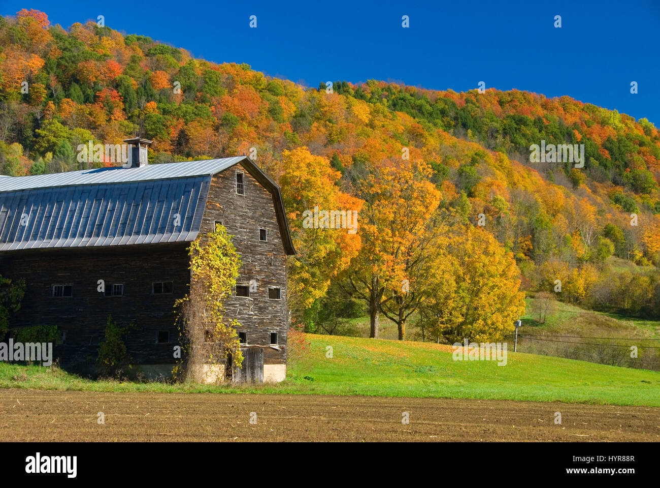 Barn fall foliage vermont rustic hi-res stock photography and images ...