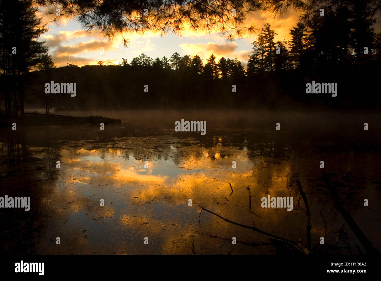 Lowell Lake sunrise, Lowell Lake State Park, Vermont Stock Photo - Alamy