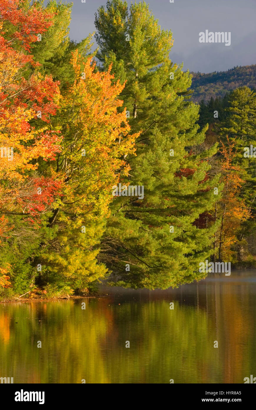 Lowell Lake, Lowell Lake State Park, Vermont Stock Photo - Alamy