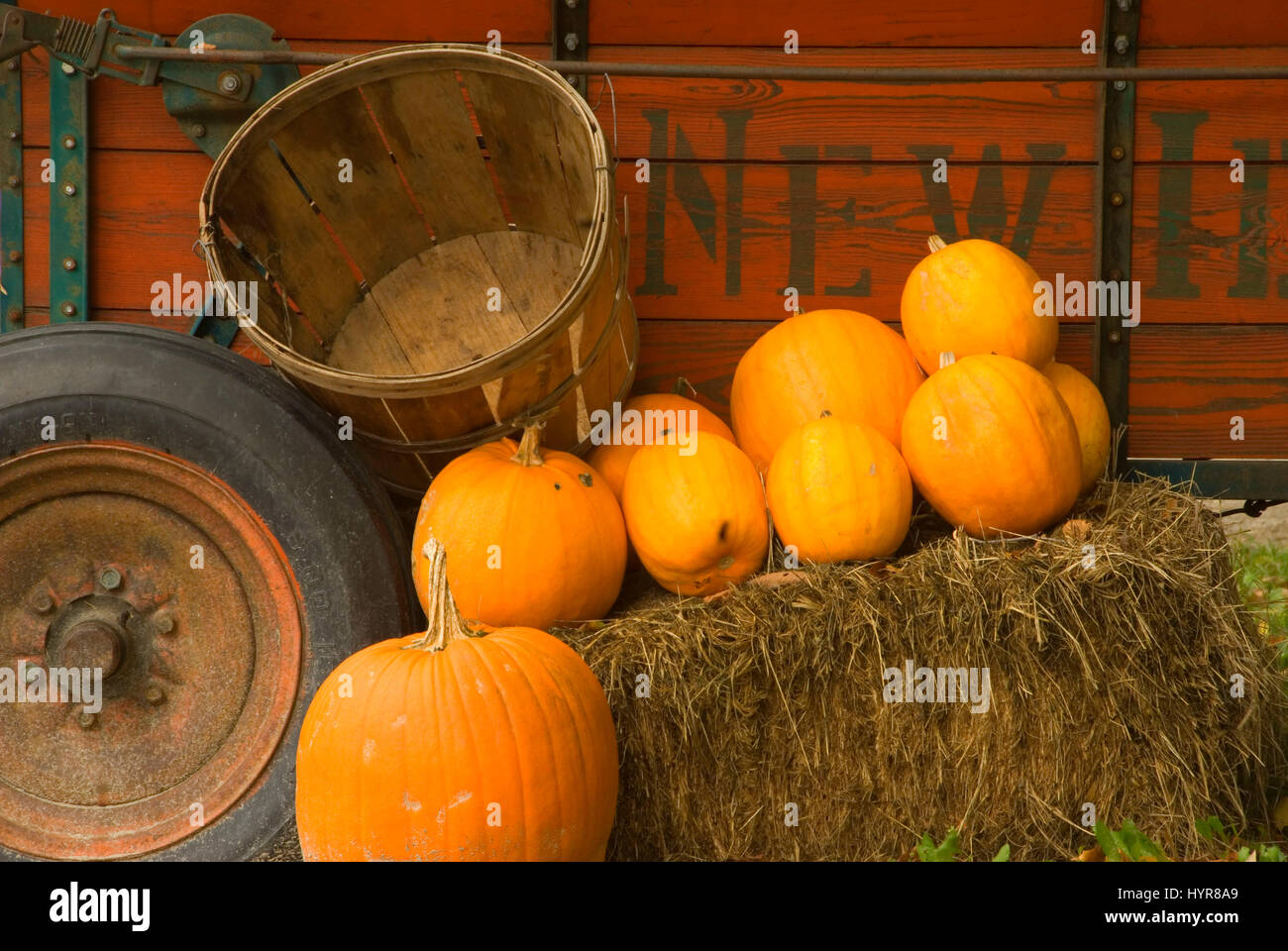 Pumpkin stand, Windham County, Vermont Stock Photo - Alamy