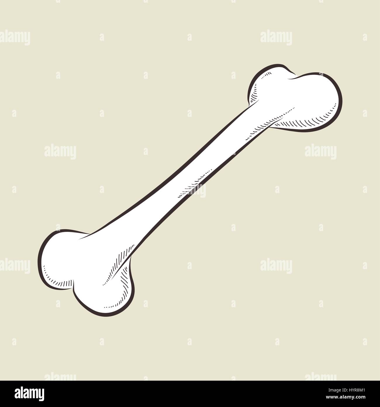 Dog Bone Cartoon Clip Art