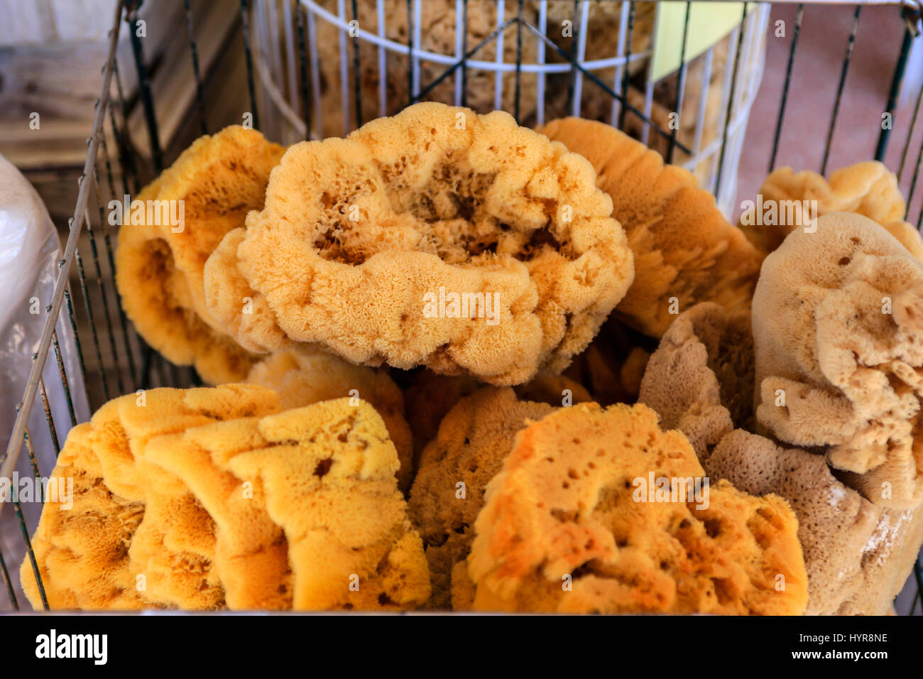 Natural sponges on sale in Tarpon Springs, Florida Stock Photo - Alamy