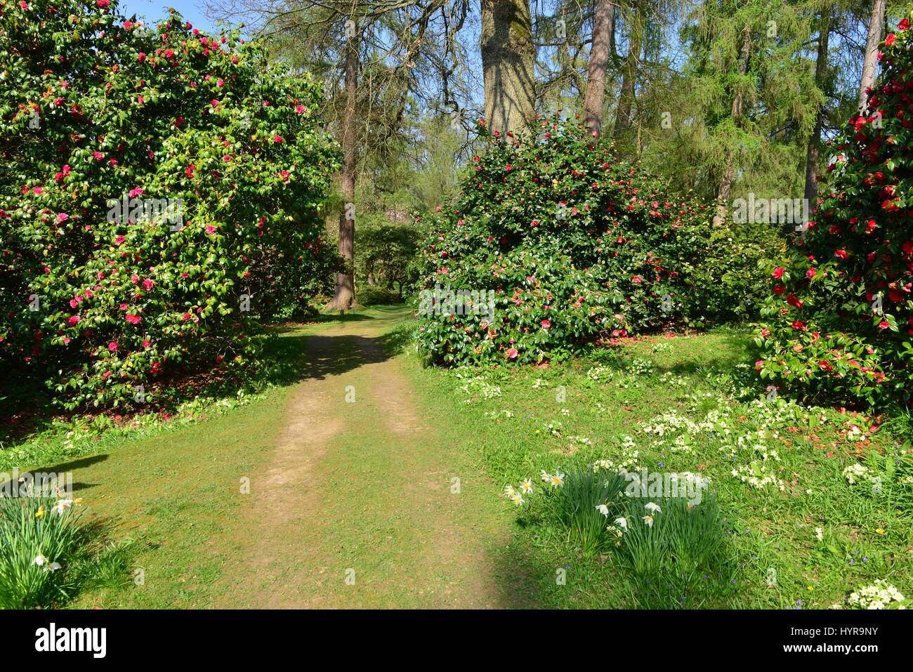 The gardens of an English country estate in Springtime Stock Photo - Alamy