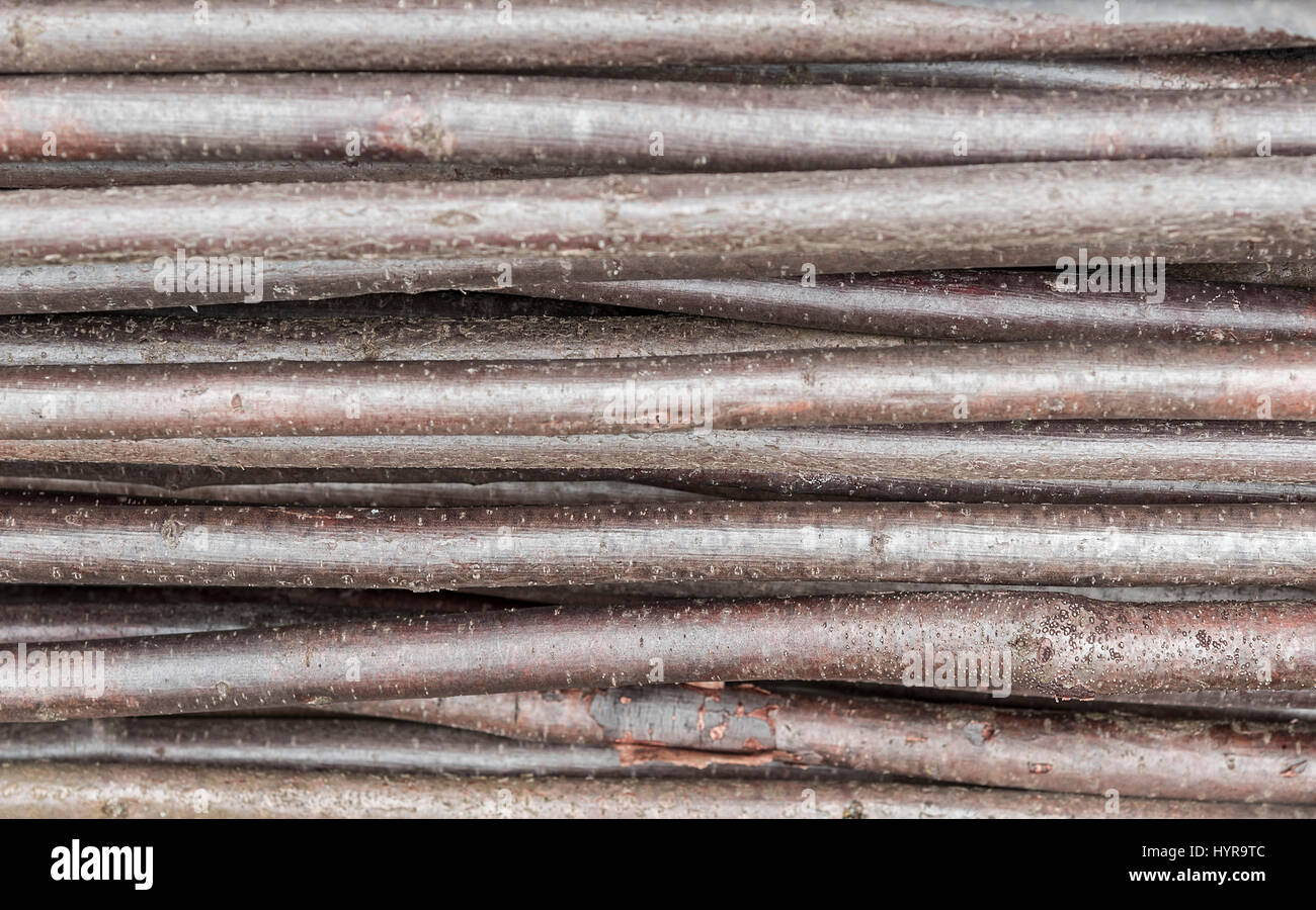 Tree branch abstract hi-res stock photography and images - Alamy