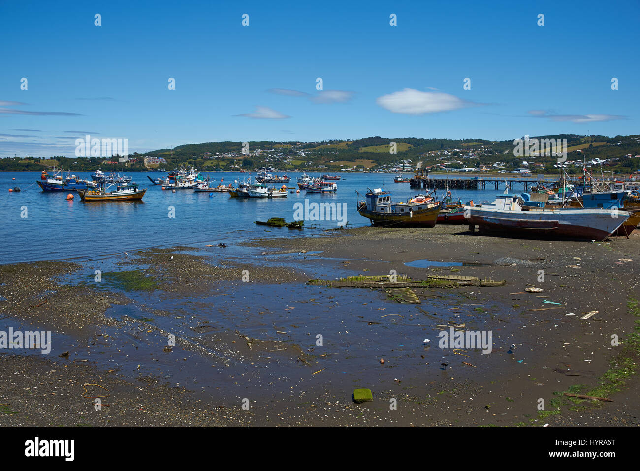 Colourful fishing boats crowding the fishing port of Quellon on the ...