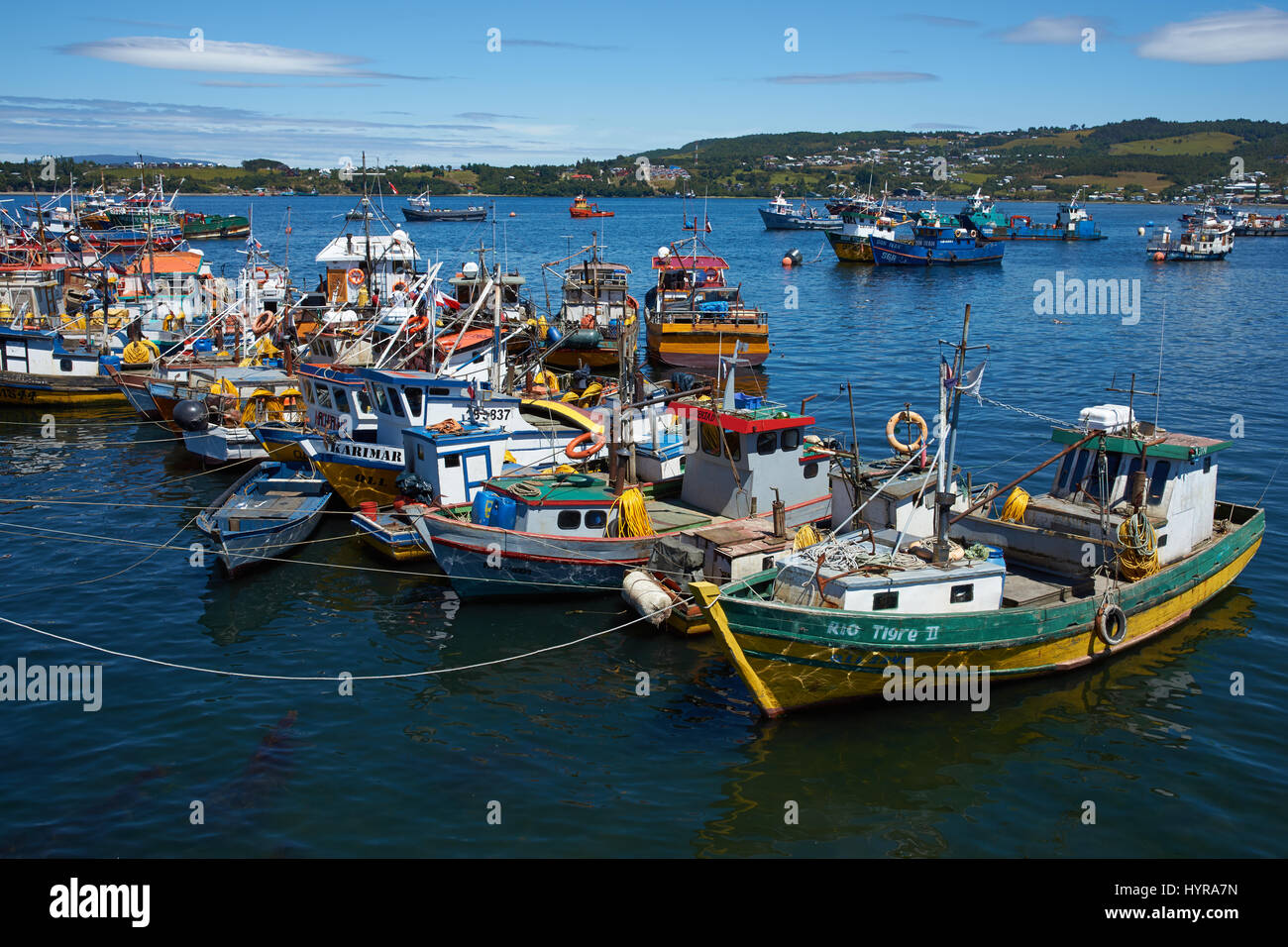 Colourful fishing boats crowding the fishing port of Quellon on the ...