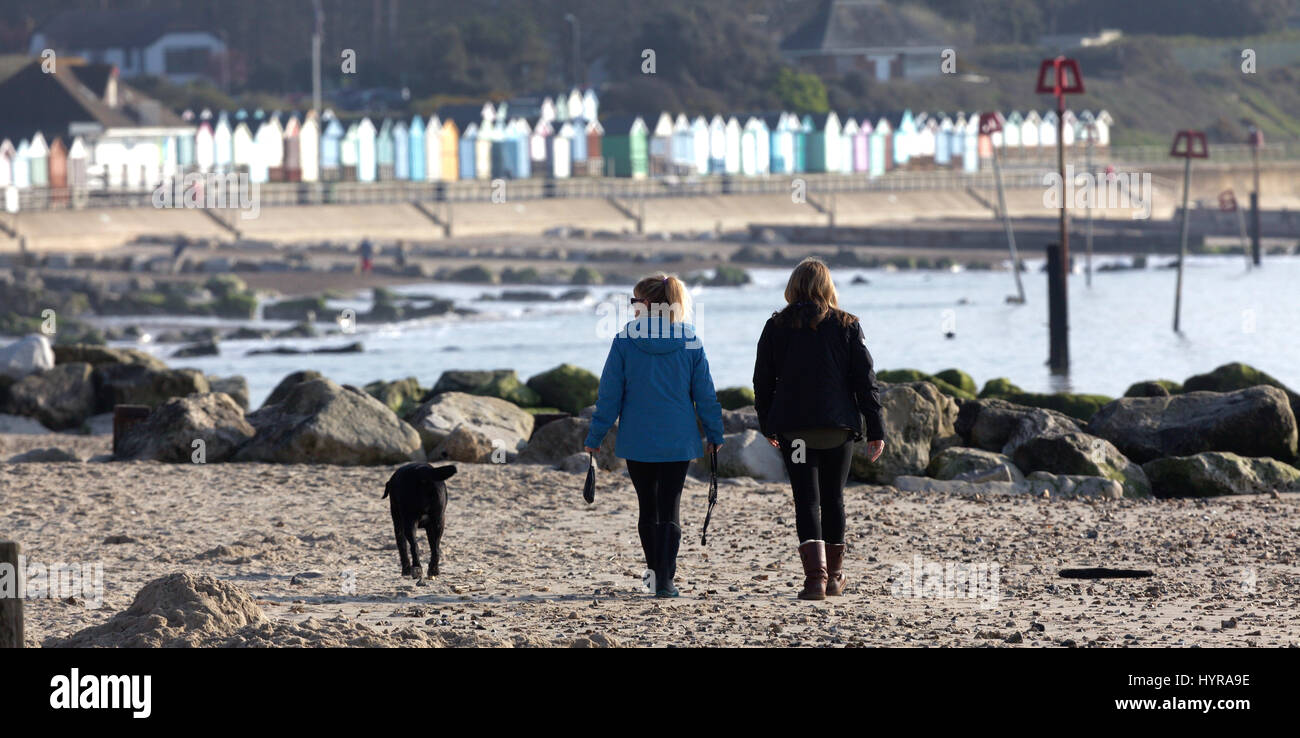Dog walk beach hi-res stock photography and images - Alamy