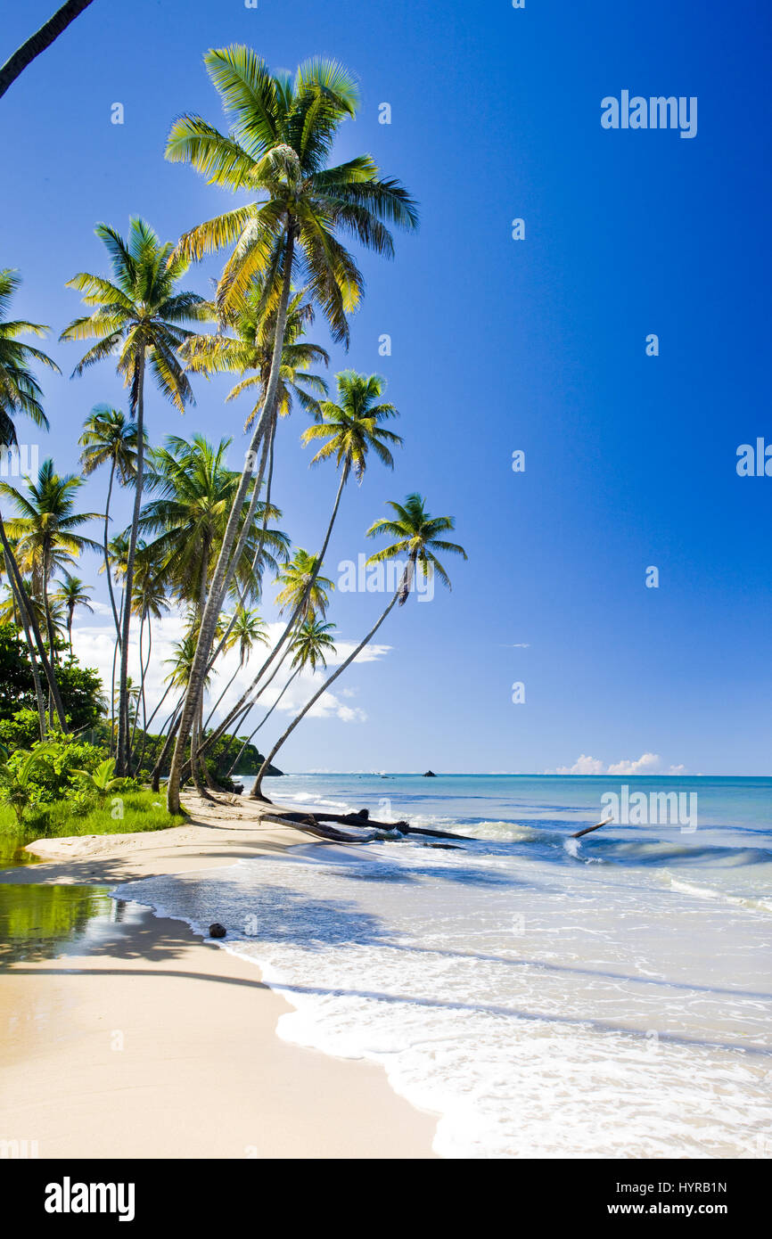 Northern coast of trinidad hi-res stock photography and images - Alamy