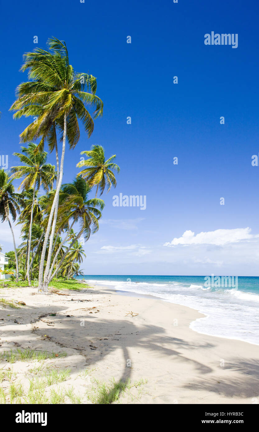 Sauteurs beach hi-res stock photography and images - Alamy