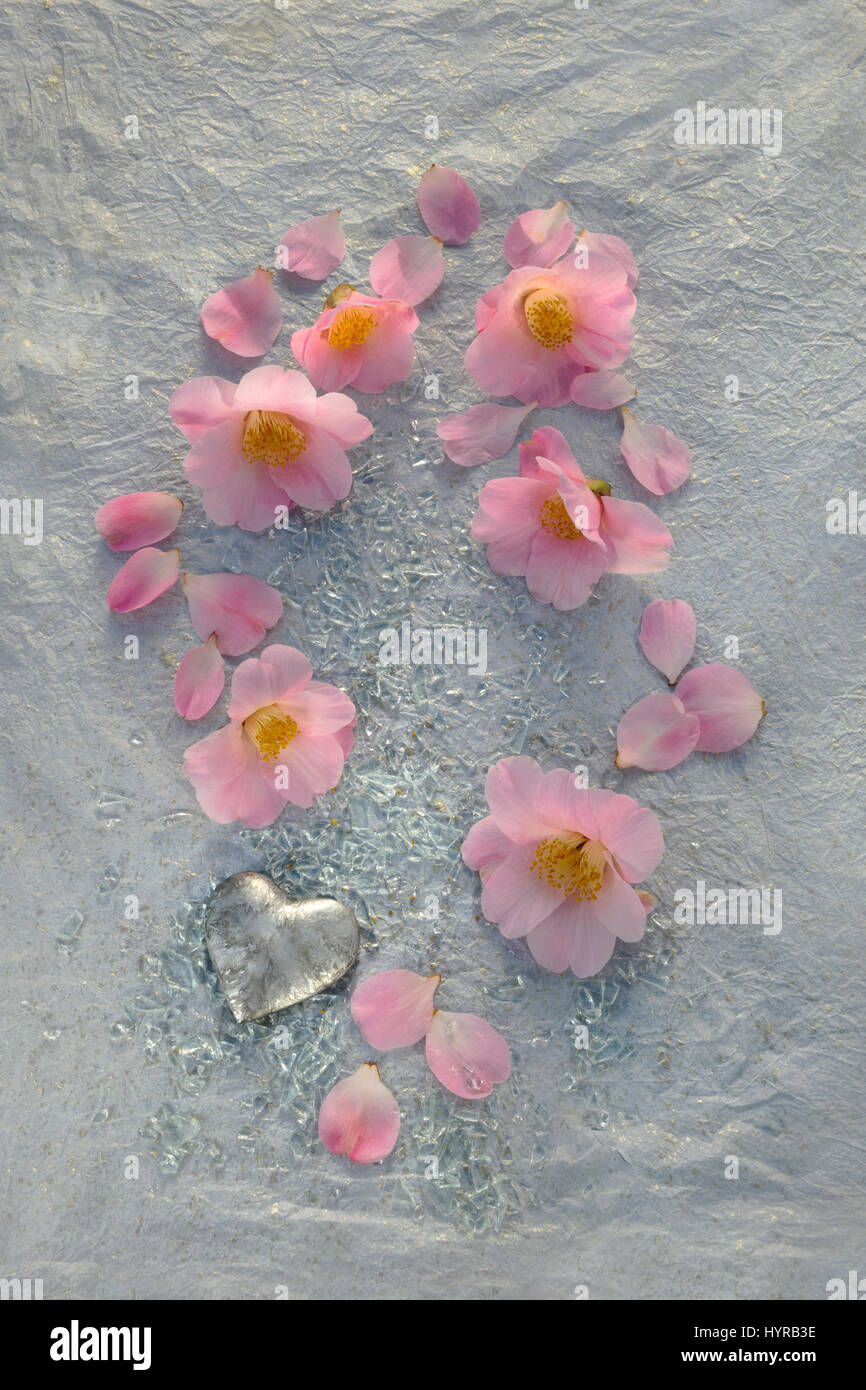 Surrounded by flowers hi-res stock photography and images - Alamy