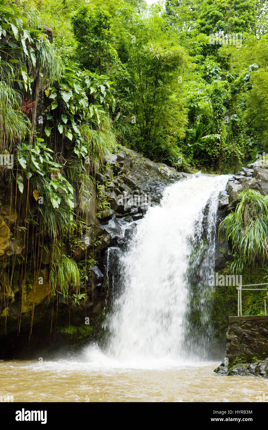 Annadale falls grenada hi-res stock photography and images - Alamy