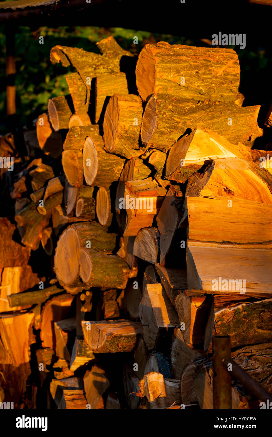 still life of logs Stock Photo - Alamy