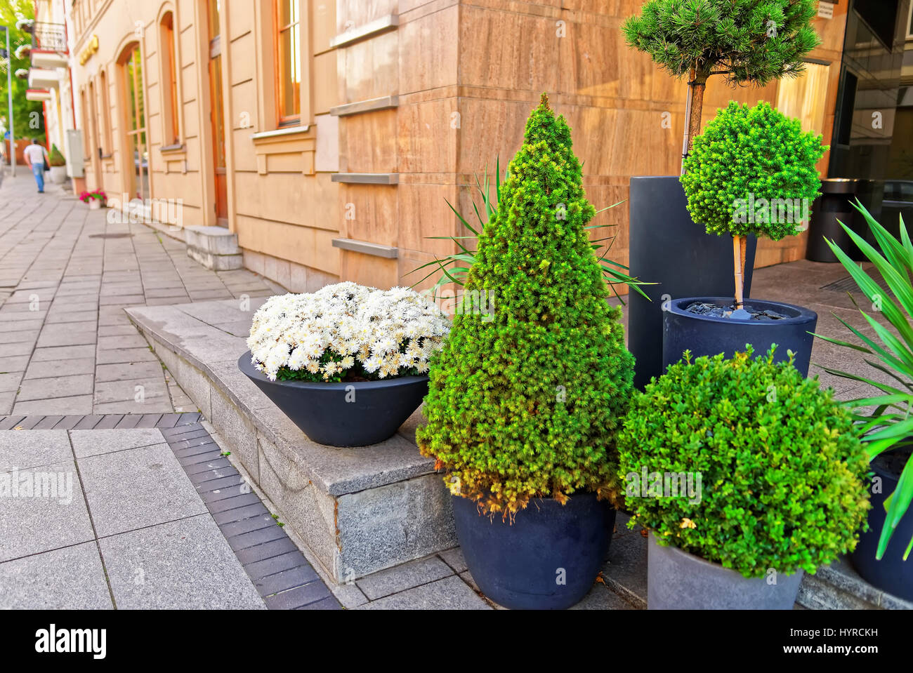 Lithuanian plants hi-res stock photography and images - Alamy