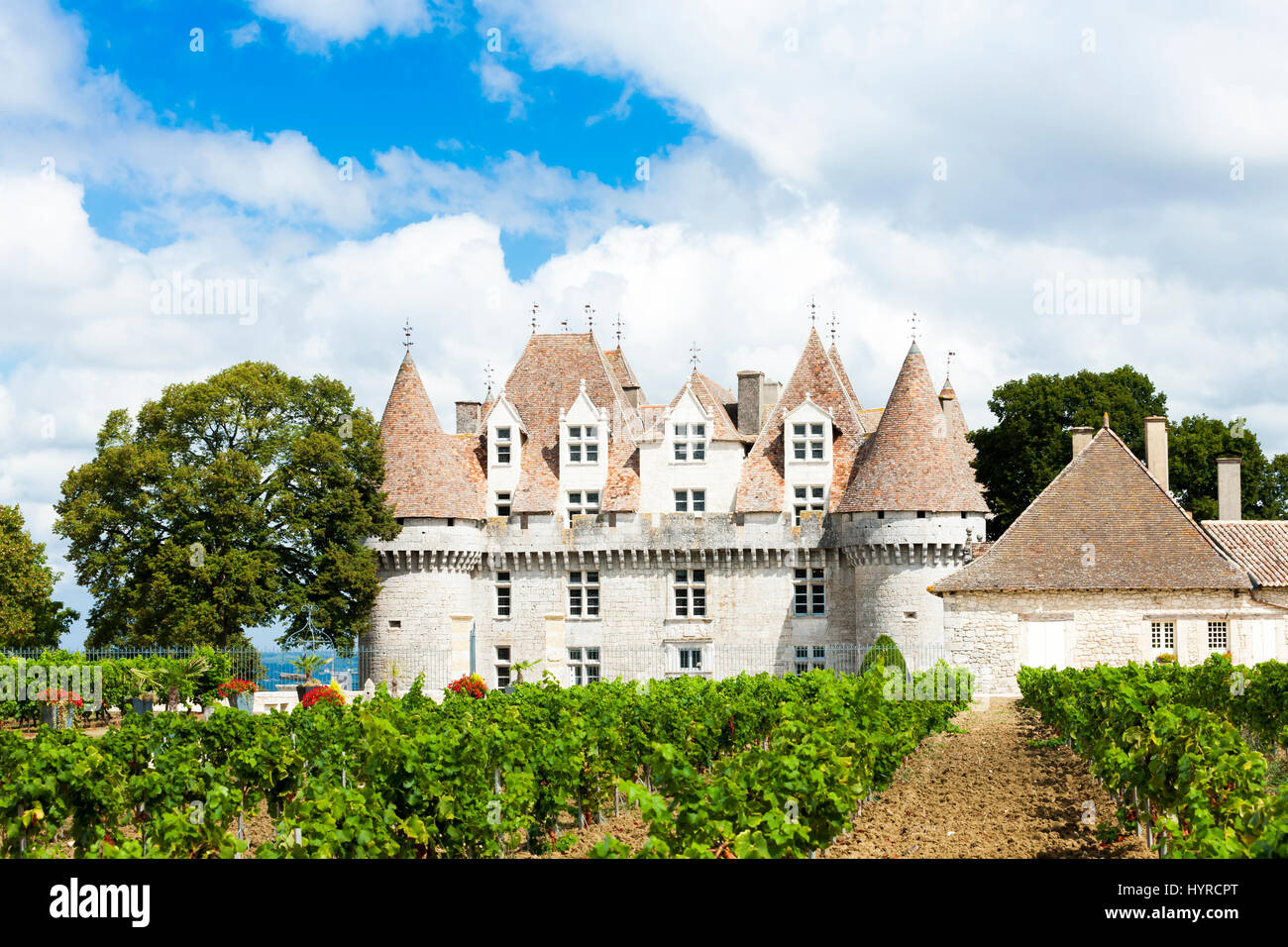 Bergerac, france vineyard hi-res stock photography and images - Alamy
