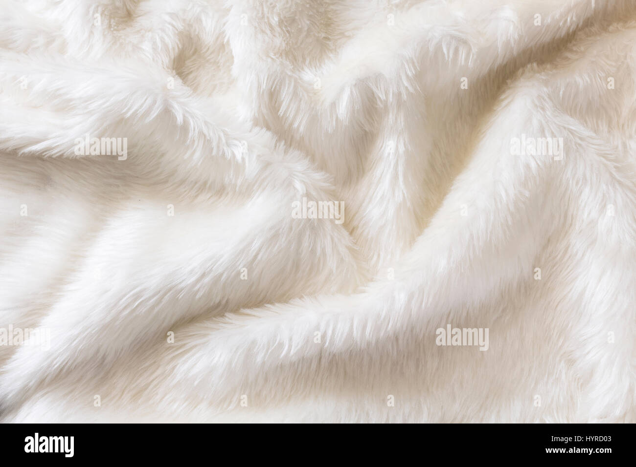 White fur texture hi-res stock photography and images - Alamy