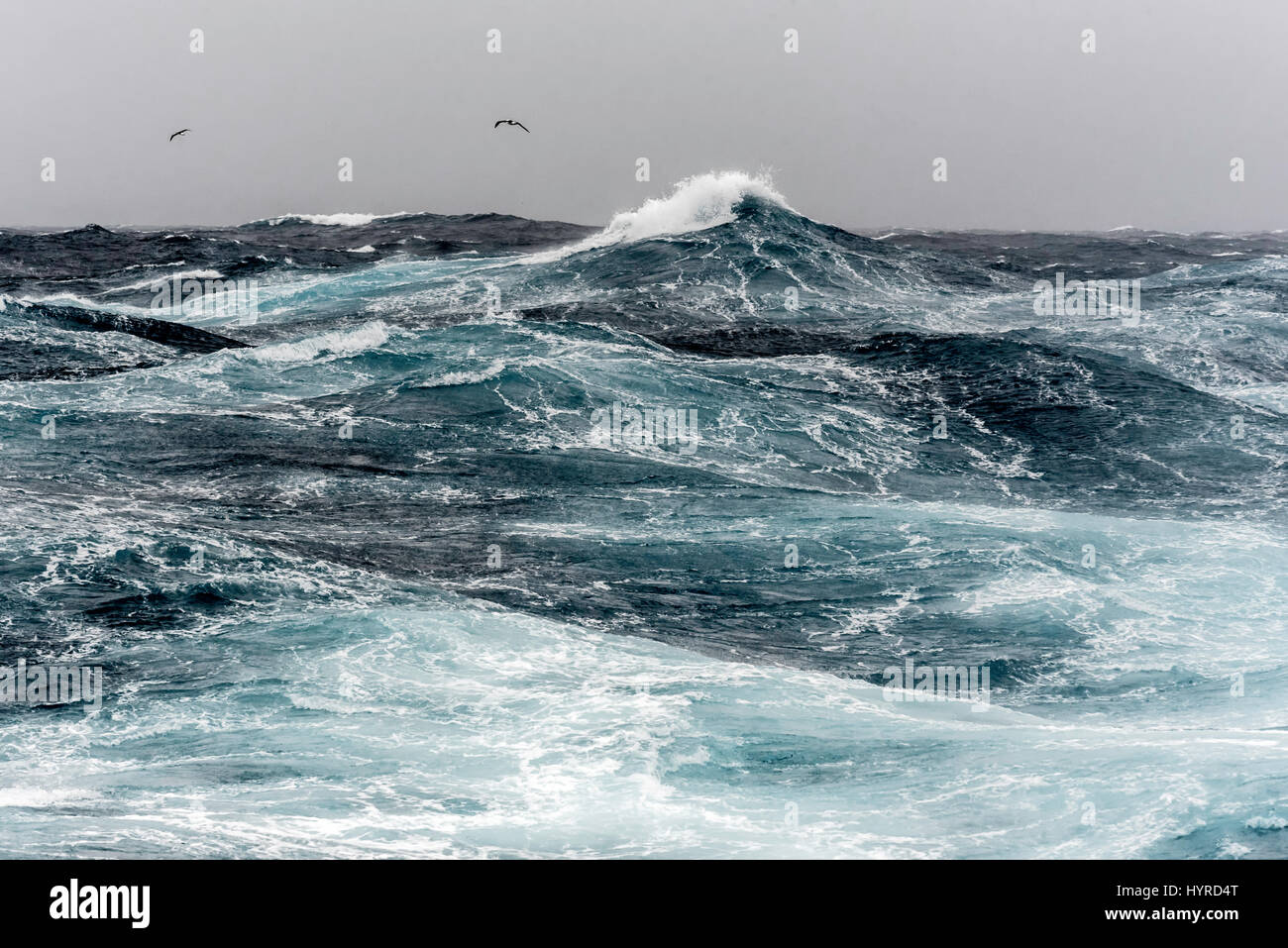 Big wave sea people hi-res stock photography and images - Alamy