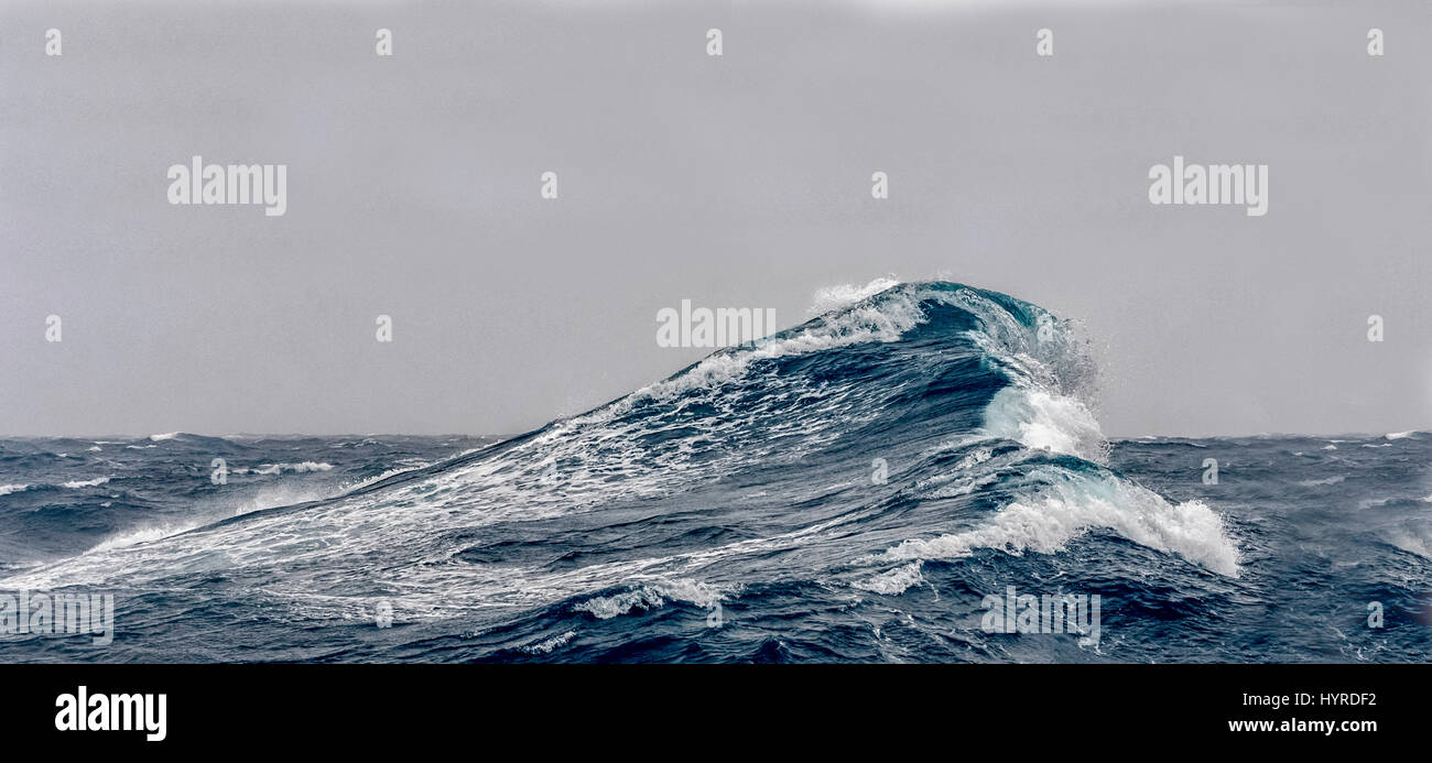 Big wave sea people hi-res stock photography and images - Alamy