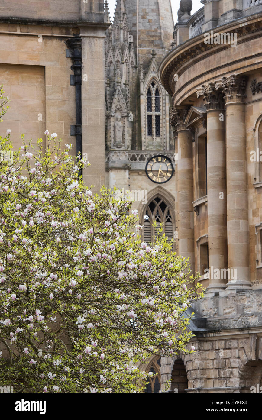 Magnolia building hi-res stock photography and images - Alamy