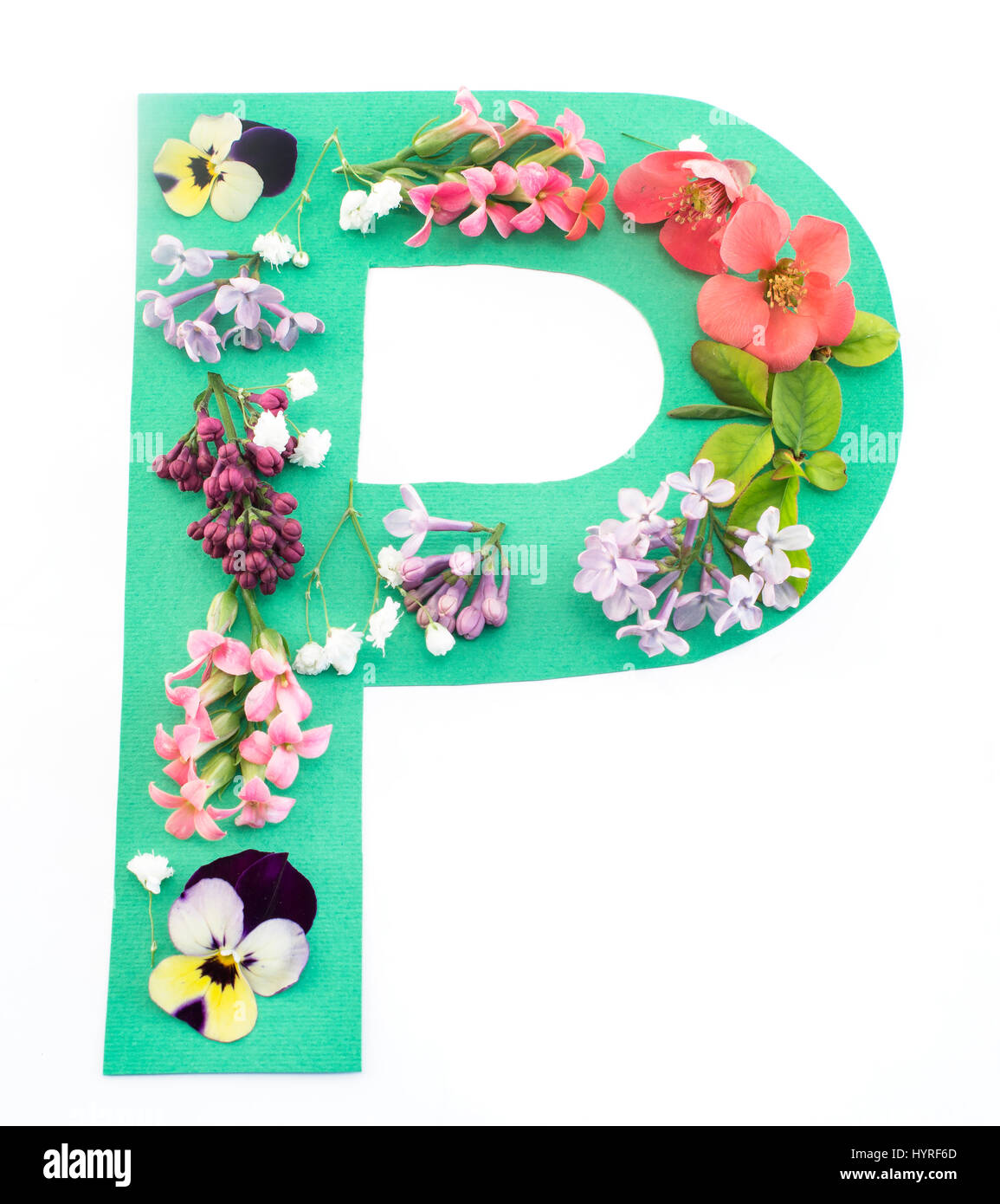 Letter p flowers hi-res stock photography and images - Alamy