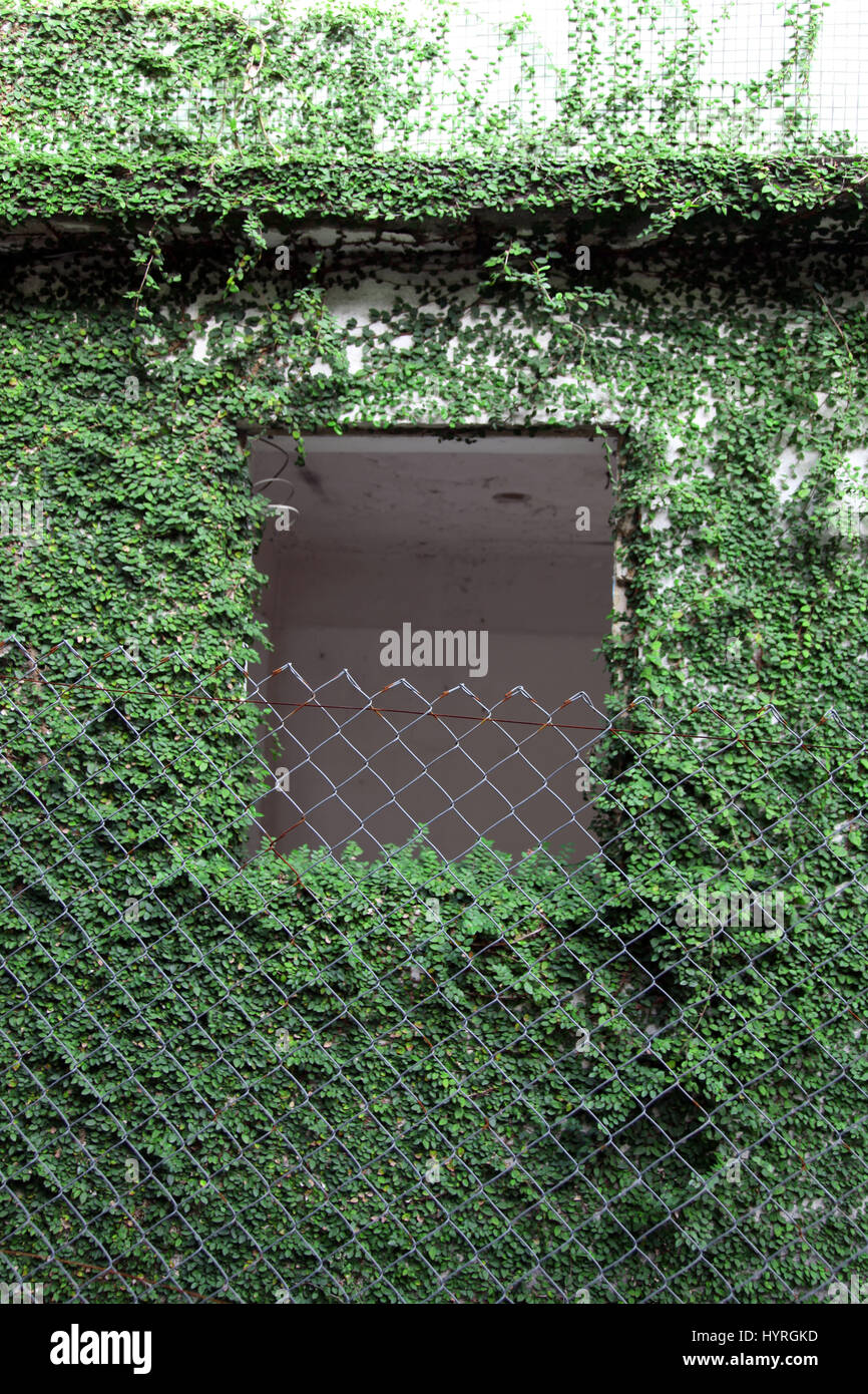 House garden open window hi-res stock photography and images - Alamy