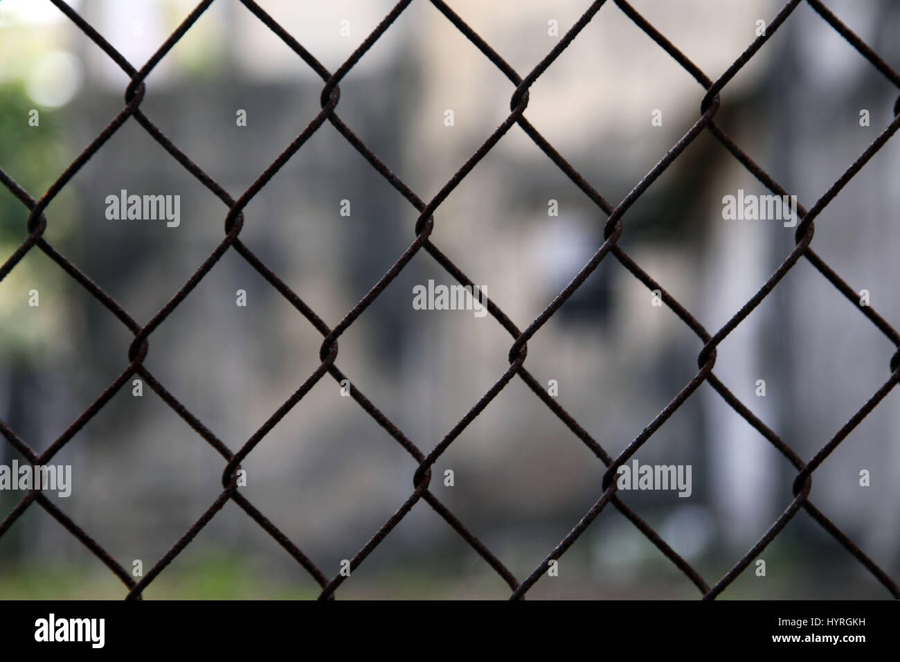 Close-up on wire mesh Stock Photo - Alamy