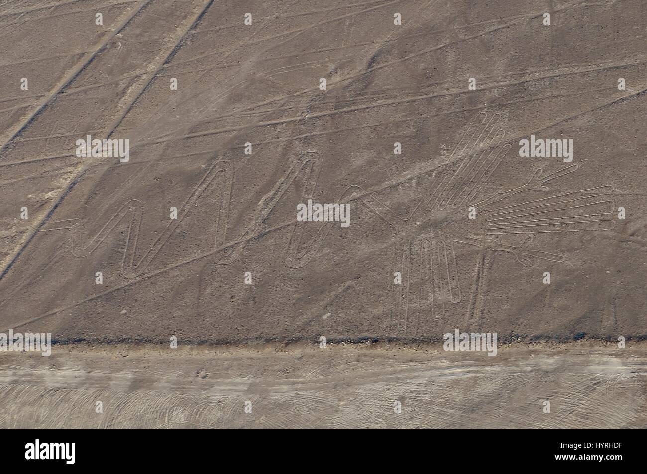 Peru, Lines of Nasca, Aerial View, the Heron Stock Photo - Alamy