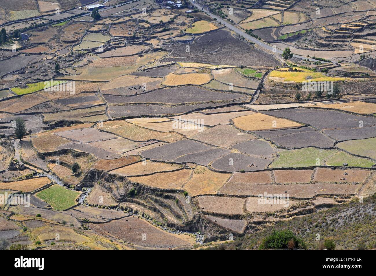 Peru, Colca Valley, Terrace Cultivation Stock Photo - Alamy