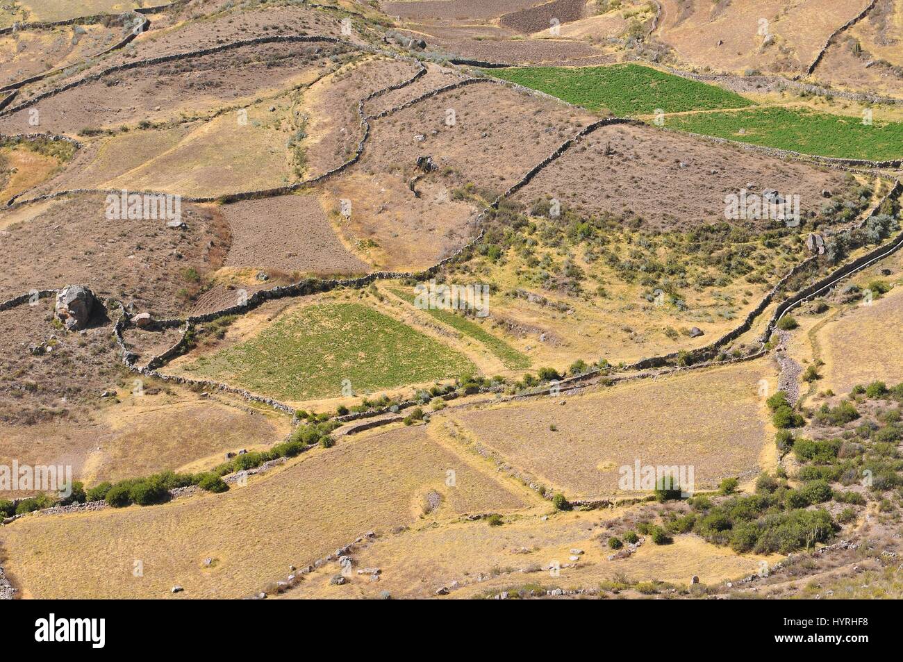 Peru, Colca Valley, Terrace Cultivation Stock Photo - Alamy