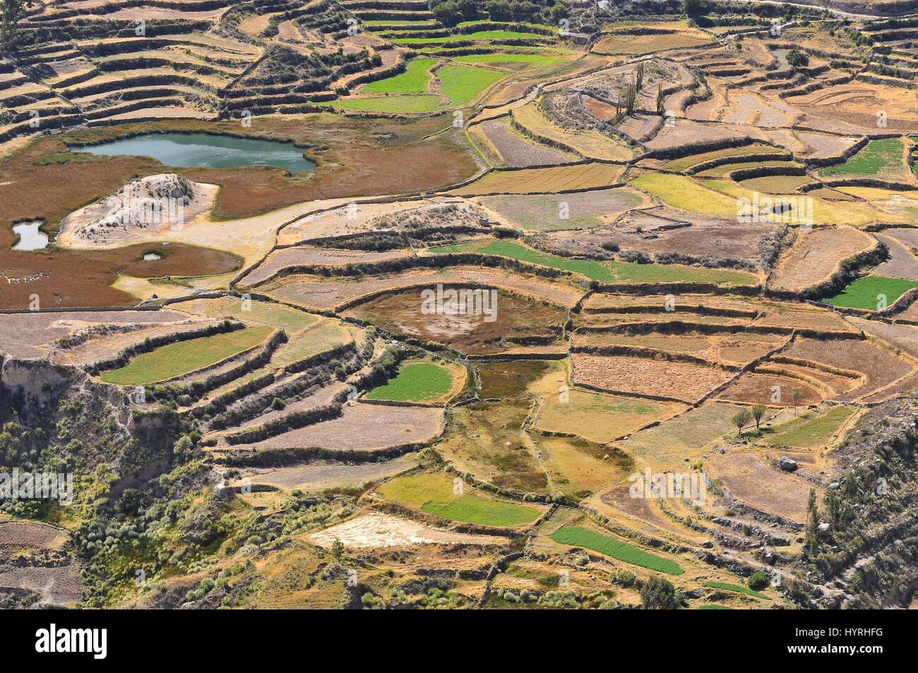 Peru, Colca Valley, Terrace Cultivation Stock Photo - Alamy