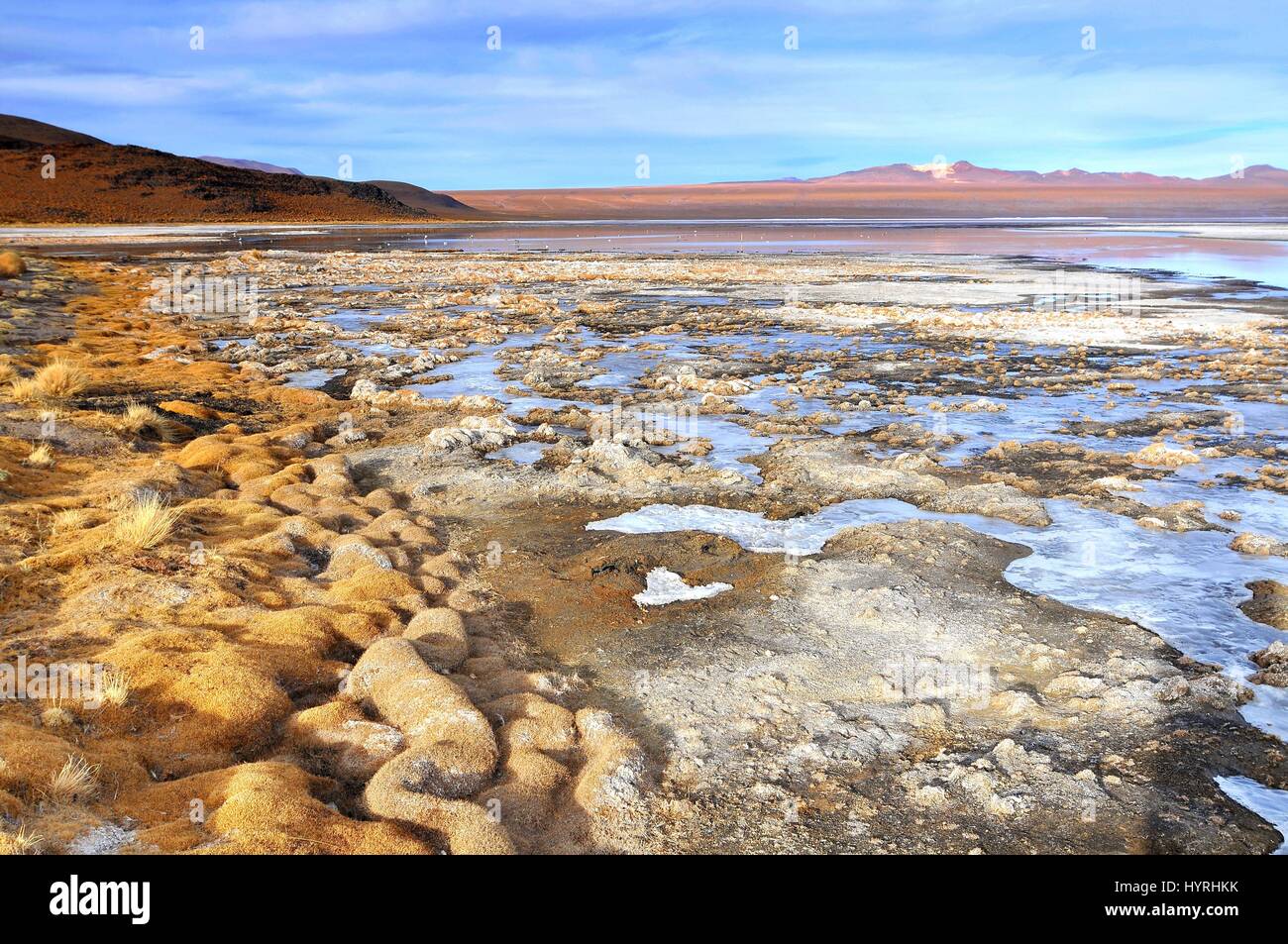 Bolivia, Laguna Colorada, Red Lagoon, Shallow Salt Lake in the ...