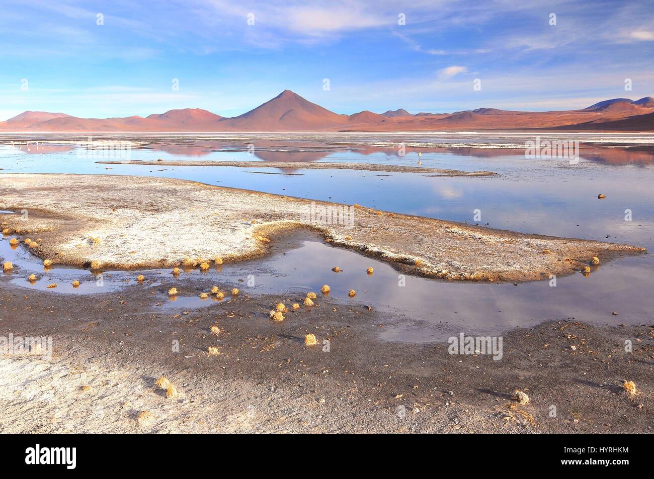 Bolivia, Laguna Colorada, Red Lagoon, Shallow Salt Lake in the ...